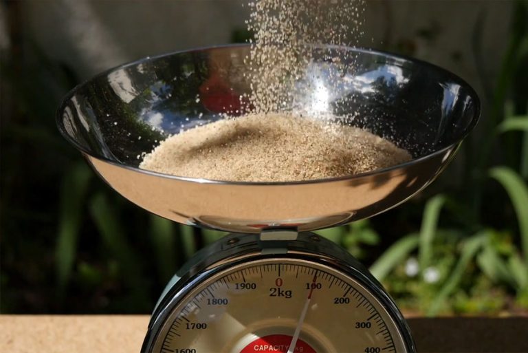 Tout savoir sur le fonio : ses bienfaits, comment le cuisiner